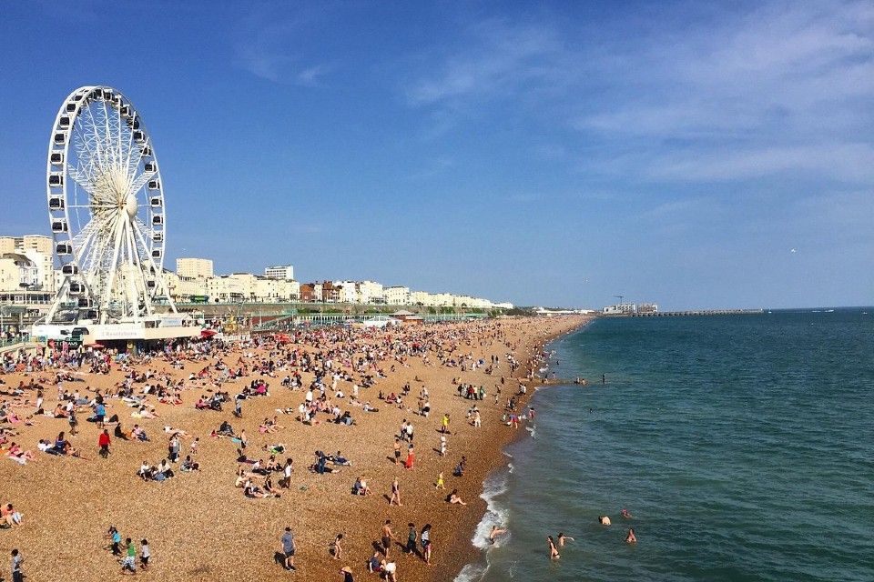 Ambassador Brighton - Ambassador Brighton